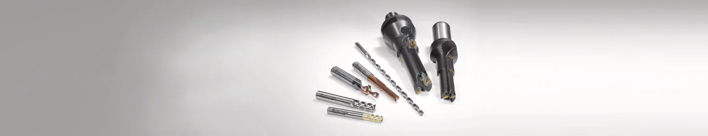 瓦尔特速致 (Walter Xpress)