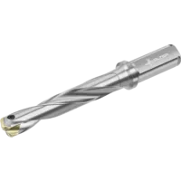 Drilling tools with indexable inserts