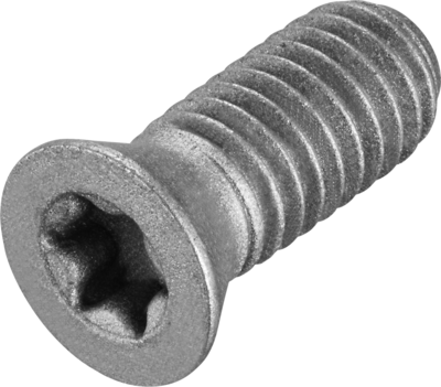 FS1013 Screws with head