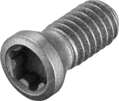 FS1454 Screws with head
