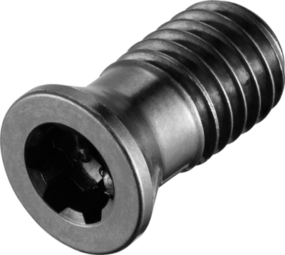 FS2570 Screws with head