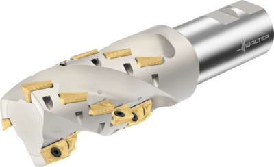 F4238.UB31.076.Z05.71 F4238 Igel-Fräser